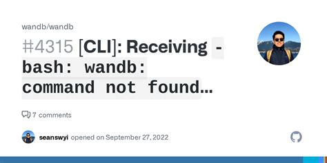 Cli Receiving ` Bash Wandb Command Not Found` Error · Issue 4315