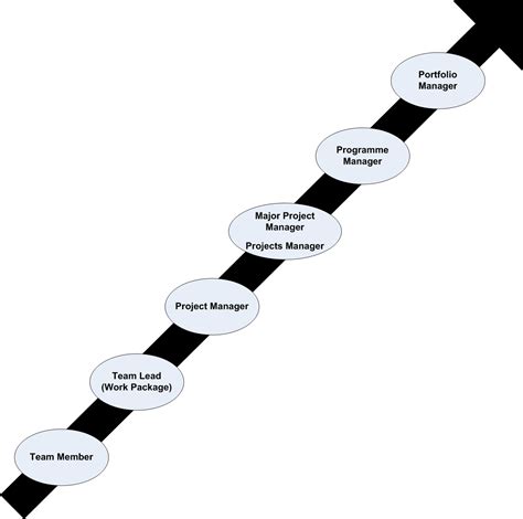 Executive Career Paths