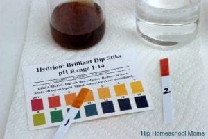 Acid Or Base Experiment Hip Homebabe Moms