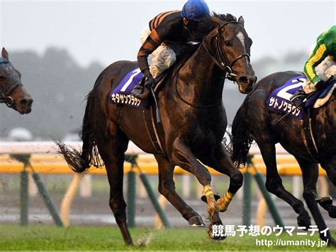 キタサンブラック2012年産 競走馬データtop｜競馬予想のウマニティ