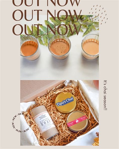 Review Trader Joes Spiced Chai — I Try Chai