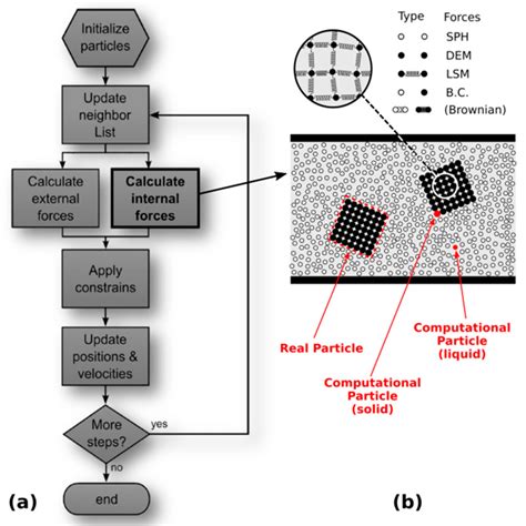 Deep Multiphysics And Particleneuron Duality A Computational Framework Coupling Discrete