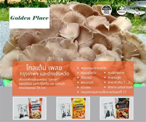 เห็ดนางฟ้าคุณภาพดี Sangsook Brand แสงสุกพานิช