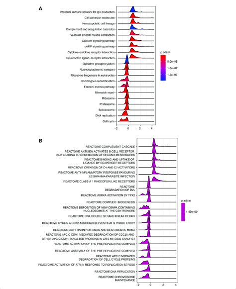 Gsea Of Samples Between High And Low Inmt Groups In Tcga Luad Cohort Download Scientific