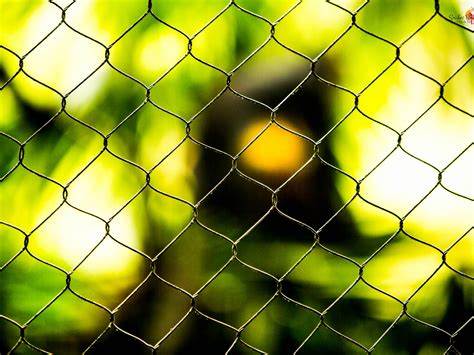 Wallpaper Wire Grid Blur Macro Hd Widescreen High Definition Fullscreen