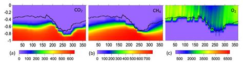 Simulated Profiles Of Dissolved Ch 4 A Dissolved Co 2 B And
