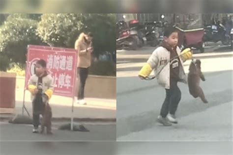 萌娃带小狗过马路太硬核，悬空提起逗乐网友：这就是责任感