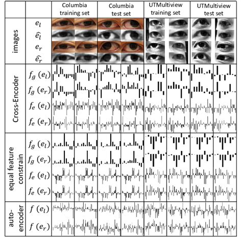 Examples Of Eye Images From Different Datasets And Their Eye Feature Download Scientific