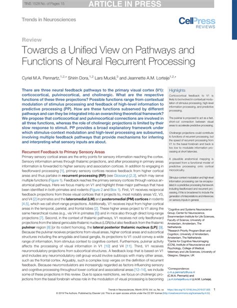 Pdf Towards A Unified View On Pathways And Functions Of Neural