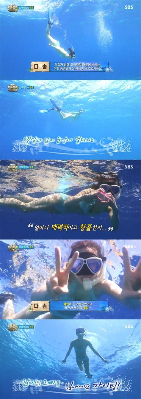 정글의 법칙 다솜 비키니 후방주의 짤티비 Jjtvkr