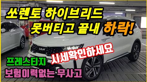 중고차 판매가3450만원 Suv하이브리드 차량 중 가장 인기좋고 판매율좋은 4세대 쏘렌토16하이브리드 시세 꼭 확인하세요
