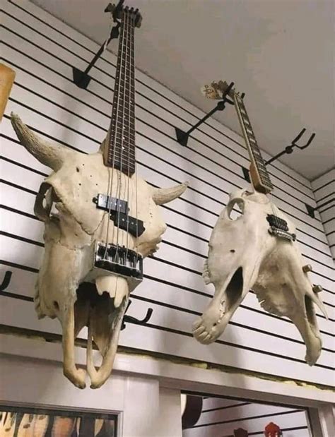 Courtesy Of Jason Coryer R Theviralthings