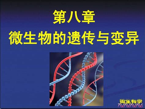 第八章微生物的遗传与变异word文档在线阅读与下载无忧文档
