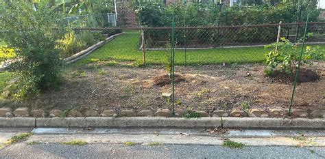 Tree Spacing General Fruit Growing Growing Fruit