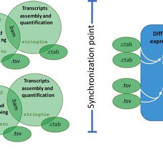 Workflow Of The Automatic Pipeline For The Analysis Of ChIP Seq Data In