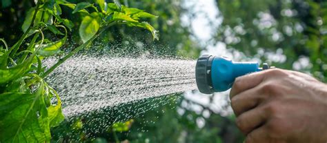 Making Water Conservation Part Of Every Season Cal Water