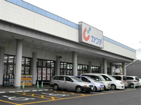 カワチ薬品 小山東店 小山市の薬局ドラッグストアキッチン日用雑貨栃ナビ