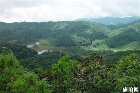 2022哀牢山国家级自然保护区旅游攻略 门票 交通 天气 景点介绍旅泊网