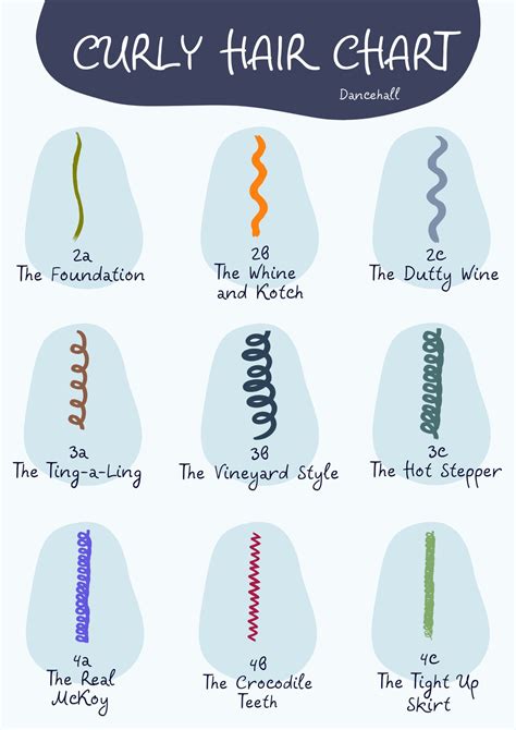 Curly Hair Chart Dancehall Edition Etsy
