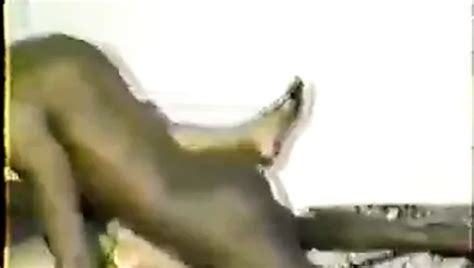 Free White Women BBC Porn Videos XHamster Free White Women BBC Porn Videos XHamster