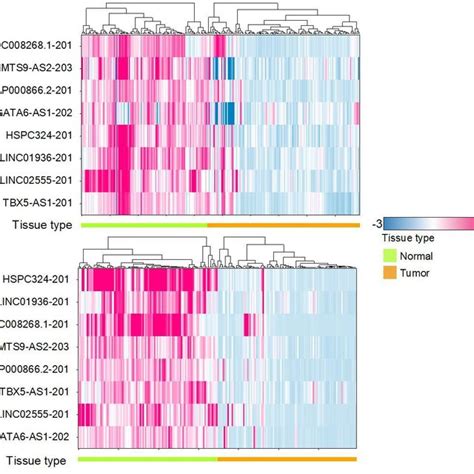 Hierarchical Clustering Shows The Regulation A Heat Map For 8 Common