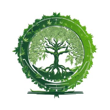 Baobab Tree Frame PNG Transparent Images Free Download Vector Files Pngtree