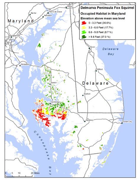 Delmarva Fox Squirrel Distribution Map