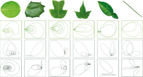 plots 6 leaves and their euclidean row 2 similarity row 2 and download scientific diagram