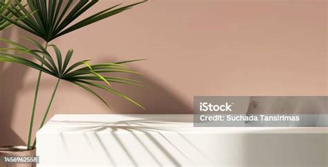 현대적인 최소한의 빈 흰색 대리석 돌 카운터 테이블 상판 햇빛에 야자수 베이지 색 갈색 벽에 잎 그림자 대리석에 대한 스톡 사진 및 기타 이미지 Istock