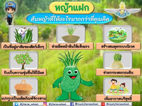 [หญ้าแฝก โรงเรียนจิตอาสาพระราชทาน