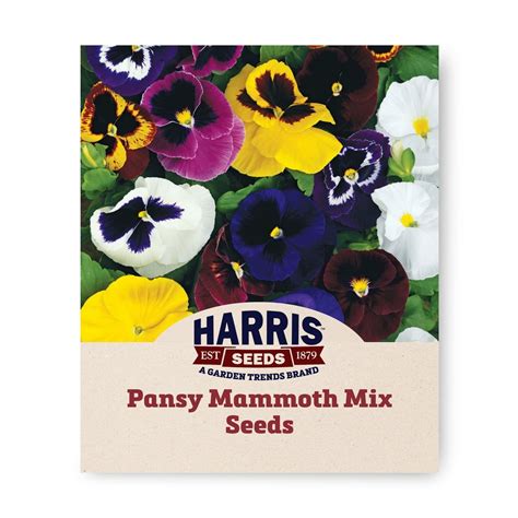 Harris Seeds Pansy Mammoth Mix F1 Seeds Quick Germination 250 Seeds