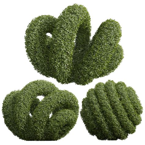 Artstation New Plant Ligustrum Quihoui Privet Pruned02 Resources