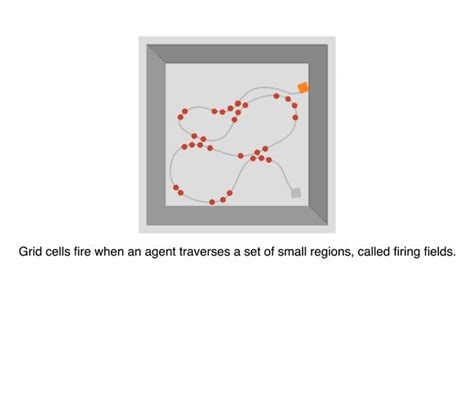 Nature再发deepmind研究：ai复现大脑网格细胞模拟导航！ 知乎