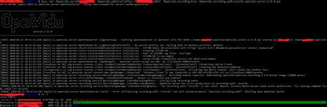 Error On Trying To Launch Openvidu Server With Recording Capabilities Issues With Deployment