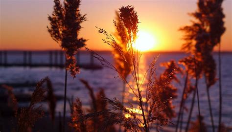 Top Stories Published By The Festember Blog In March Of 2017 Medium