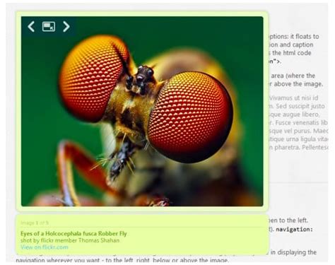 Your Newest Jquery Slideshow Library With 17 Popular Plugins