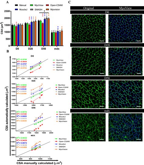 Myoview Comparison With Open Csam Musclej Smash And Myovision