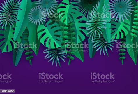 녹색 열 대 잎 및 자외선 배경 열 대 엽 종이 컷 벡터에 격리 식물 0명에 대한 스톡 벡터 아트 및 기타 이미지 0명 계절 관광 Istock