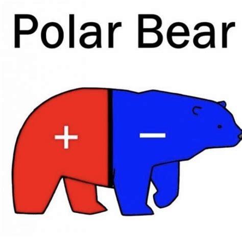 Polar Bear Rmemes