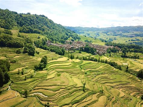 世界文化遺産紅河ハニ棚田に豊かな実り 雲南省元陽県 写真4枚 国際ニュースAFPBB News
