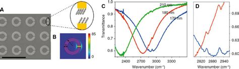 A Scanning Electron Micrograph Of A Typical Srr Array Scale Bar Is 1 Download Scientific
