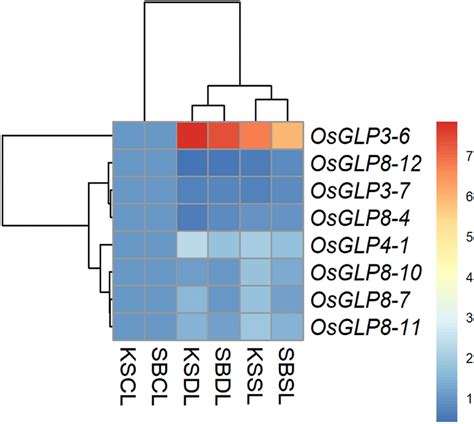 Expression Heat Map And Dendrogram Of Hierarchal Clustering Based On