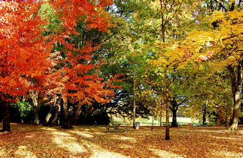 Salem Oregon Daily Photo Diary Falls Color Palette