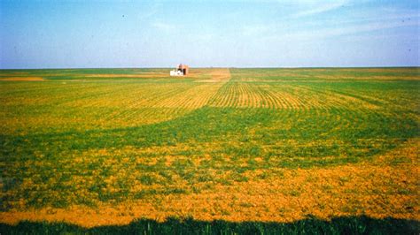 Row And Field Crops Multifix The Optimum Food For Microbes