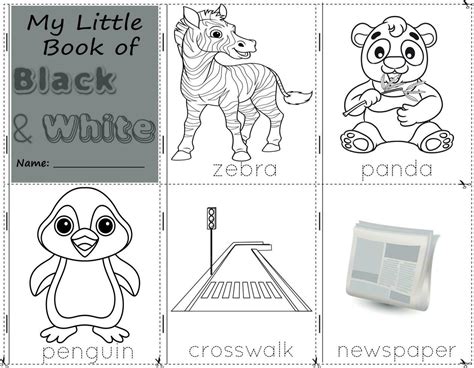 Black And White Objects Names