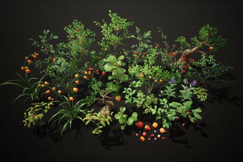 Bush And Berry 3d Vegetation Unity Asset Store