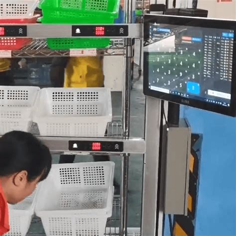 Next Gen Automated Sorting System With Ptl Light Technology Automated