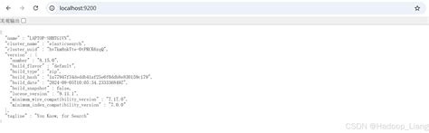 Windows下安装elk8elasticsearch、logstash、kibana及相关工具插件