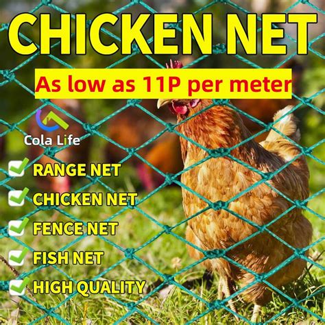 50m100m Chicken Net Range Net For Chicken Lambat Outdoor Poultry Net Ranging Net（no Rope