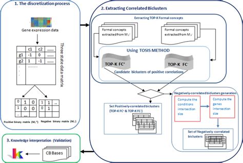 Flowchart Of Top Bicminer For Discovering Biclusters From Micro Array